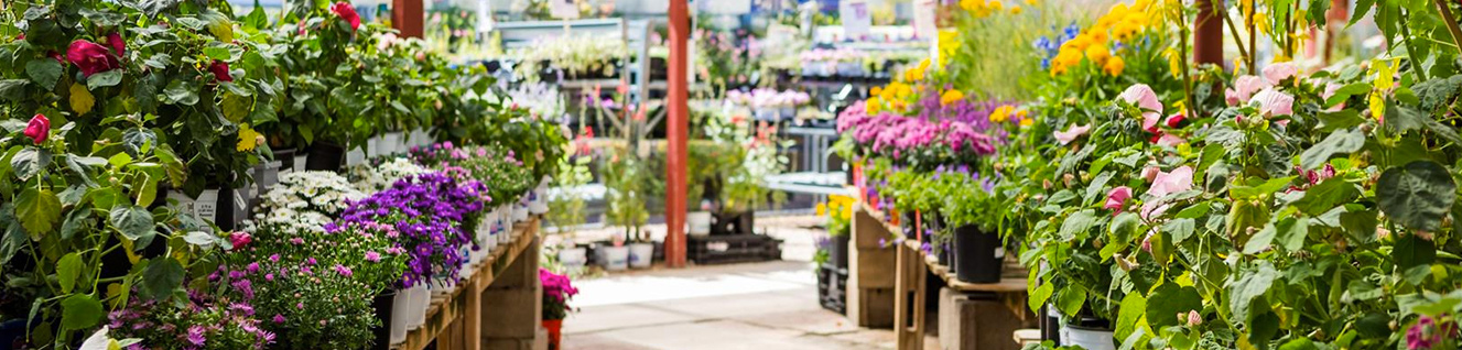 banner-1 - Farmers Market Garden Center