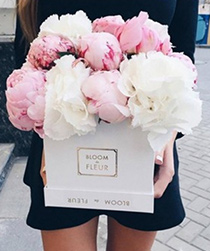 shop-3 - Farmers Market Garden Center