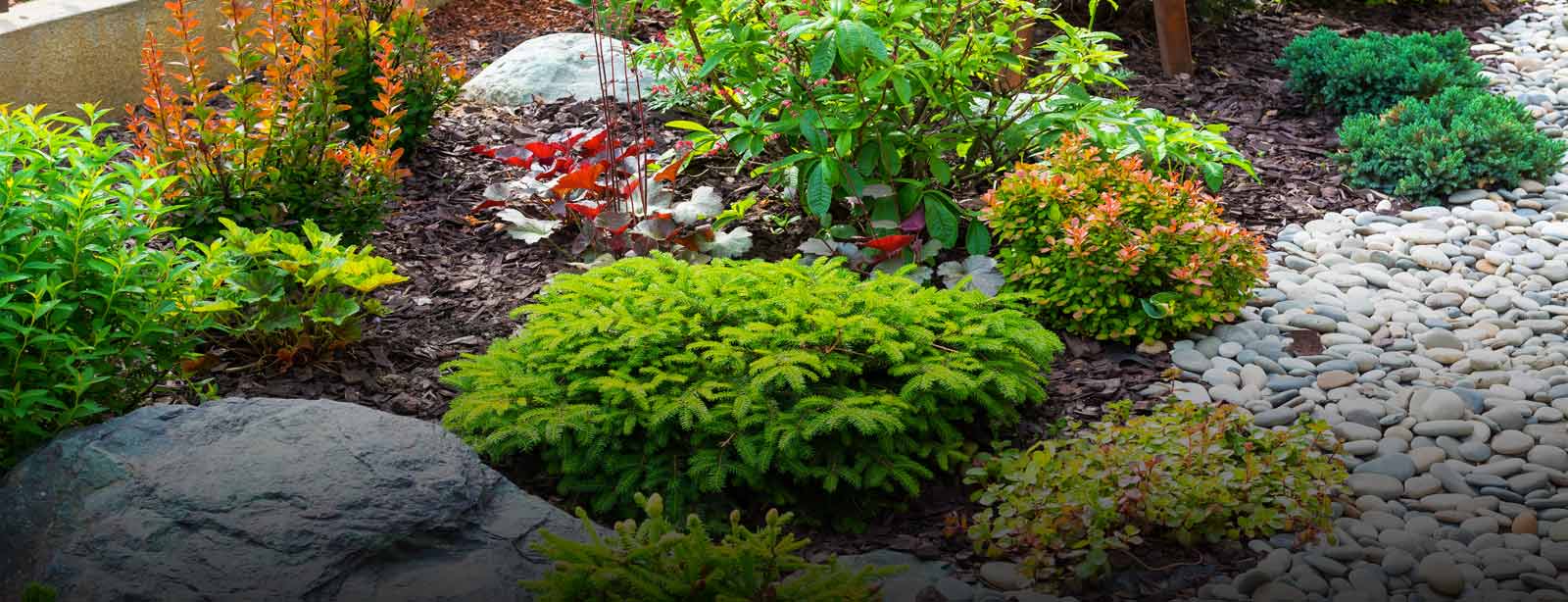 Chicago Garden Center | Famers Market Garden Center